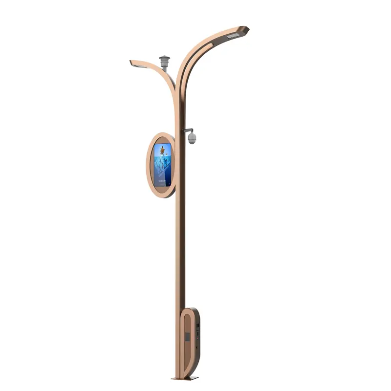 China Smart City Decorative Powered Led Street Light Pole with CCTV ...